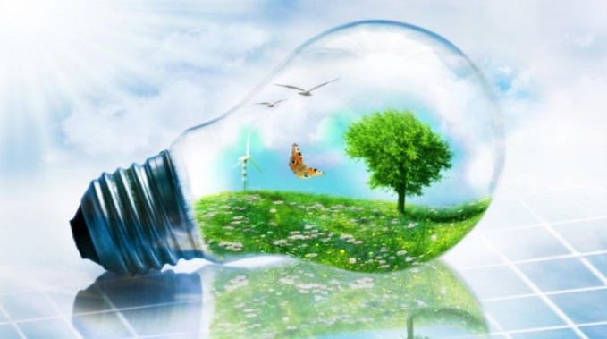 About Us - Carbon Action